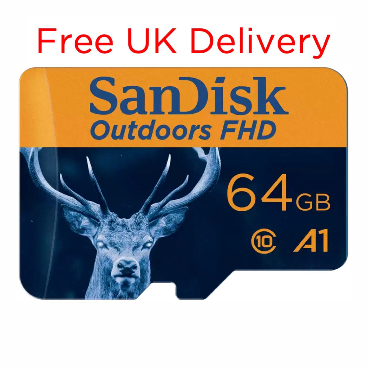 SanDisk Outdoors FHD 64GB MicroSD Memory Card